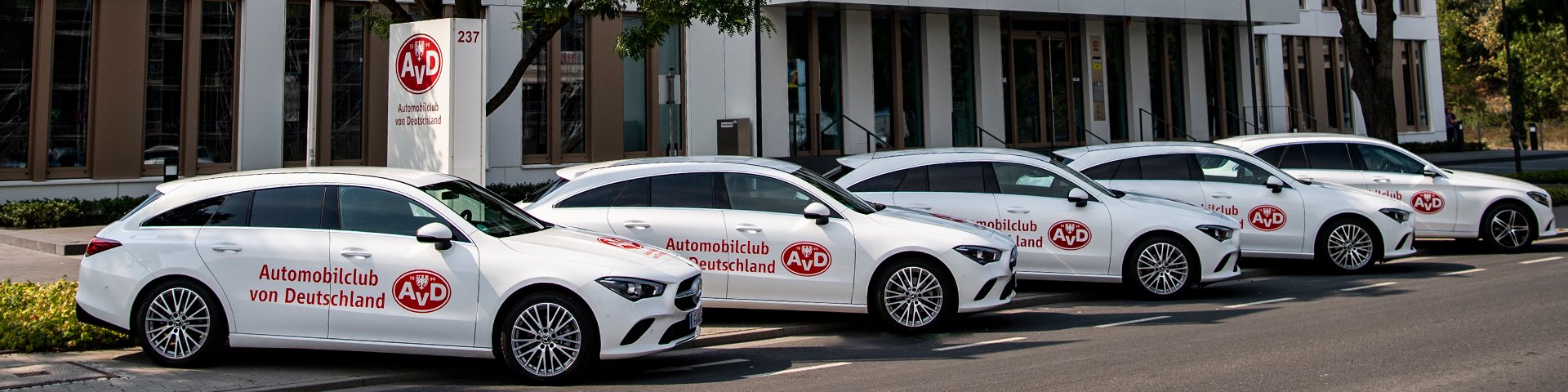 AvD Wirtschaftsdienst als Arbeitgeber: Gehalt, Karriere, Benefits